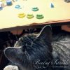 Beading tutorial Cat pendant and bracelet - Beading tutorials